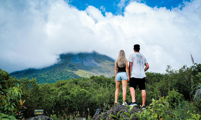 Exploring the Rich Wildlife and Natural World of Nayara Resorts